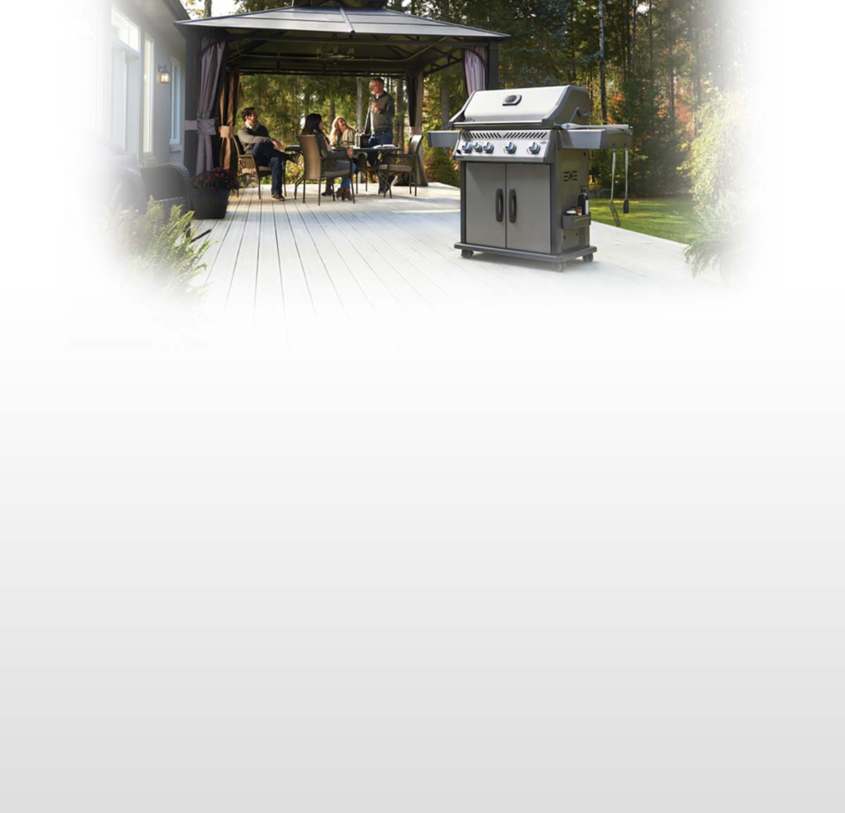 BBQ's: Natural Gas, Propane & Charcoal BBQ Grills | Best Buy Canada