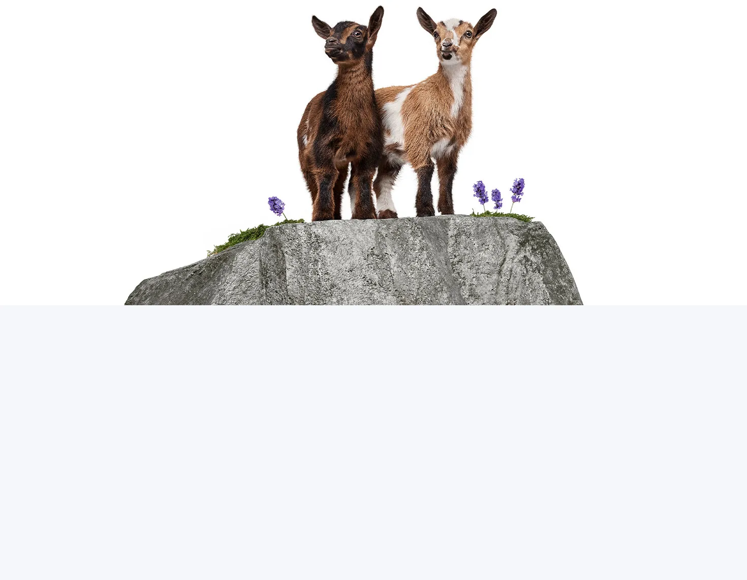 TELUS Cell Phones - Smartphones & Plans | Best Buy Canada