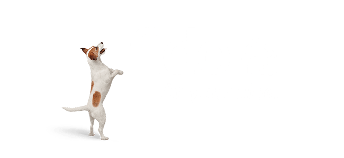 Fido: Plans & Phones | Best Buy Canada