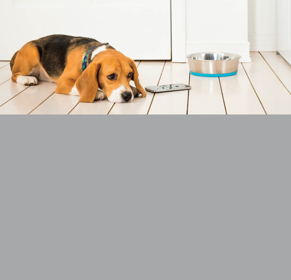 Geek Squad Cell Phone Protection & Services | Best Buy Canada