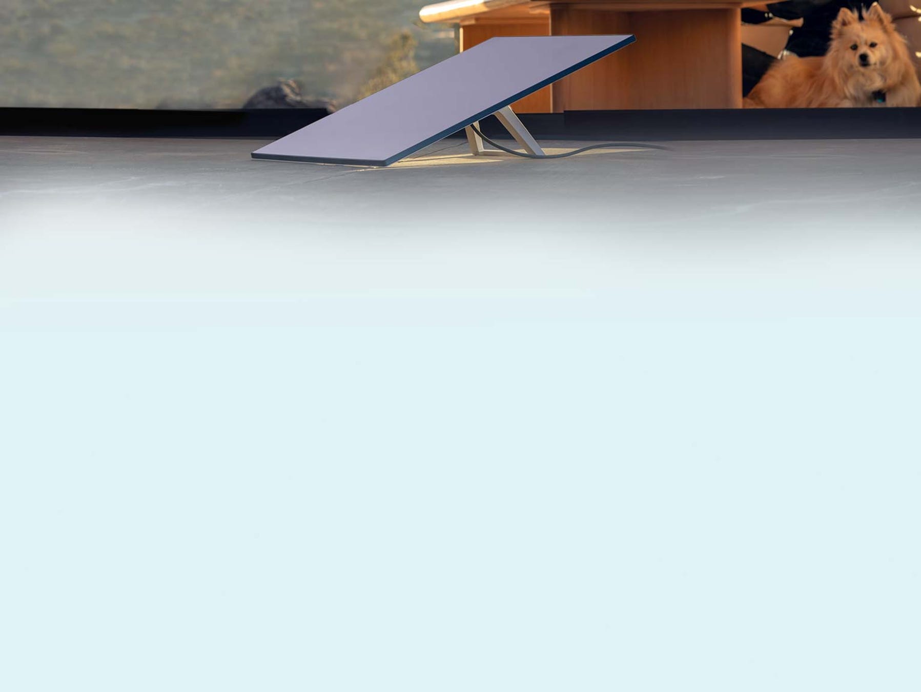 Starlink: Internet Routers & Kits | Best Buy Canada